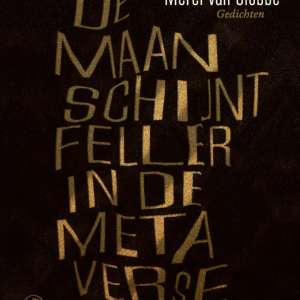 Het gebruik van de ik-vorm - Ton Rozeman - Schrijversvakschool